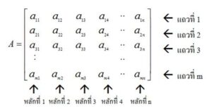 พื้นฐานเรื่องเมทริกซ์ (Matrix) คณิตศาสตร์ ม.6 – Tuemaster เรียนออนไลน์ ม.ปลาย